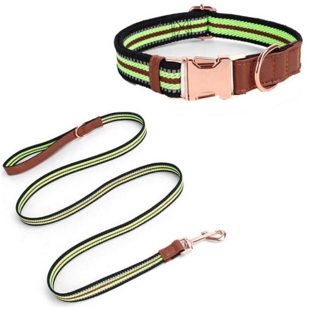 Collar con Correa Color Verde con Negro Tamaño Ch Maypet