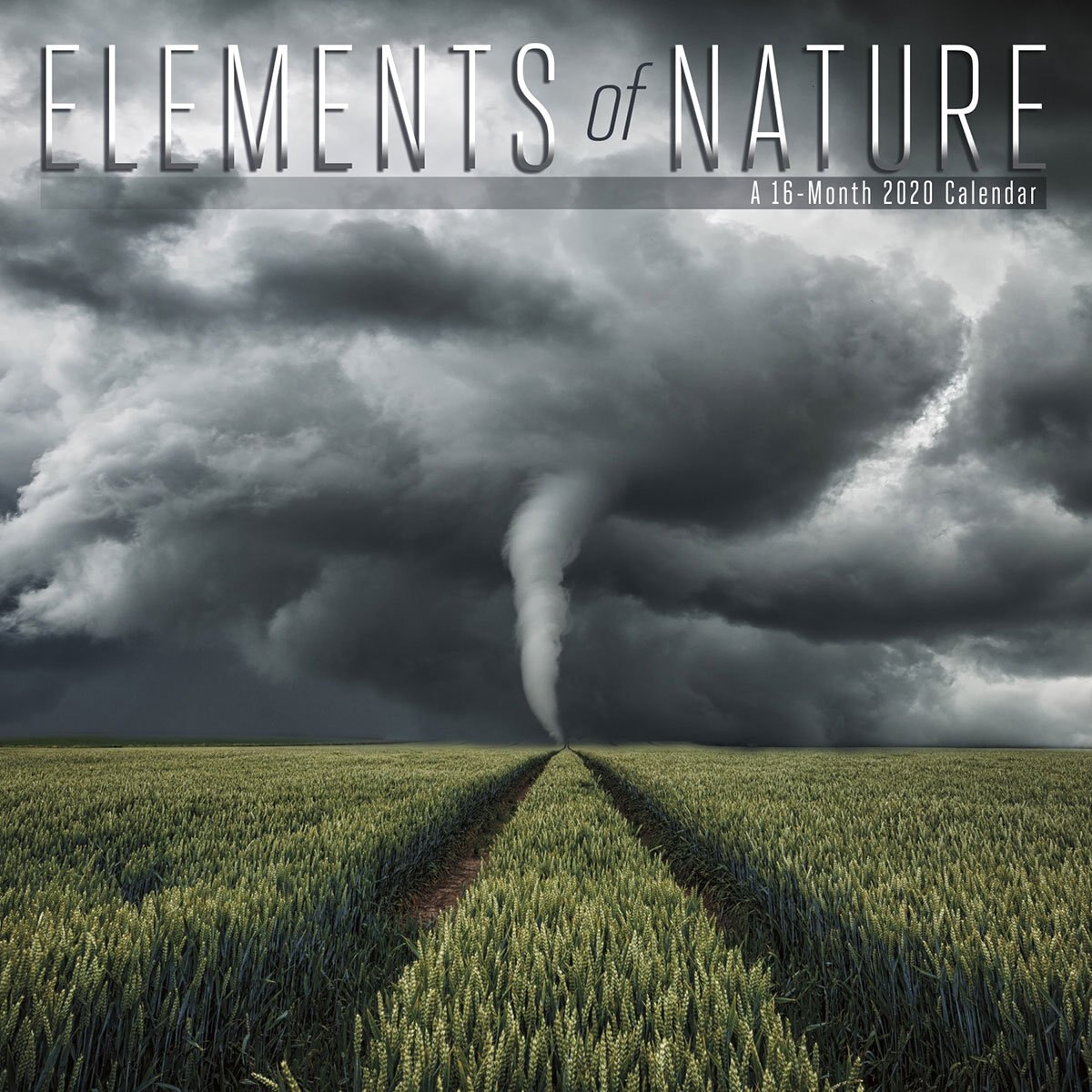 20 Wall Elements Of Nature Date Works