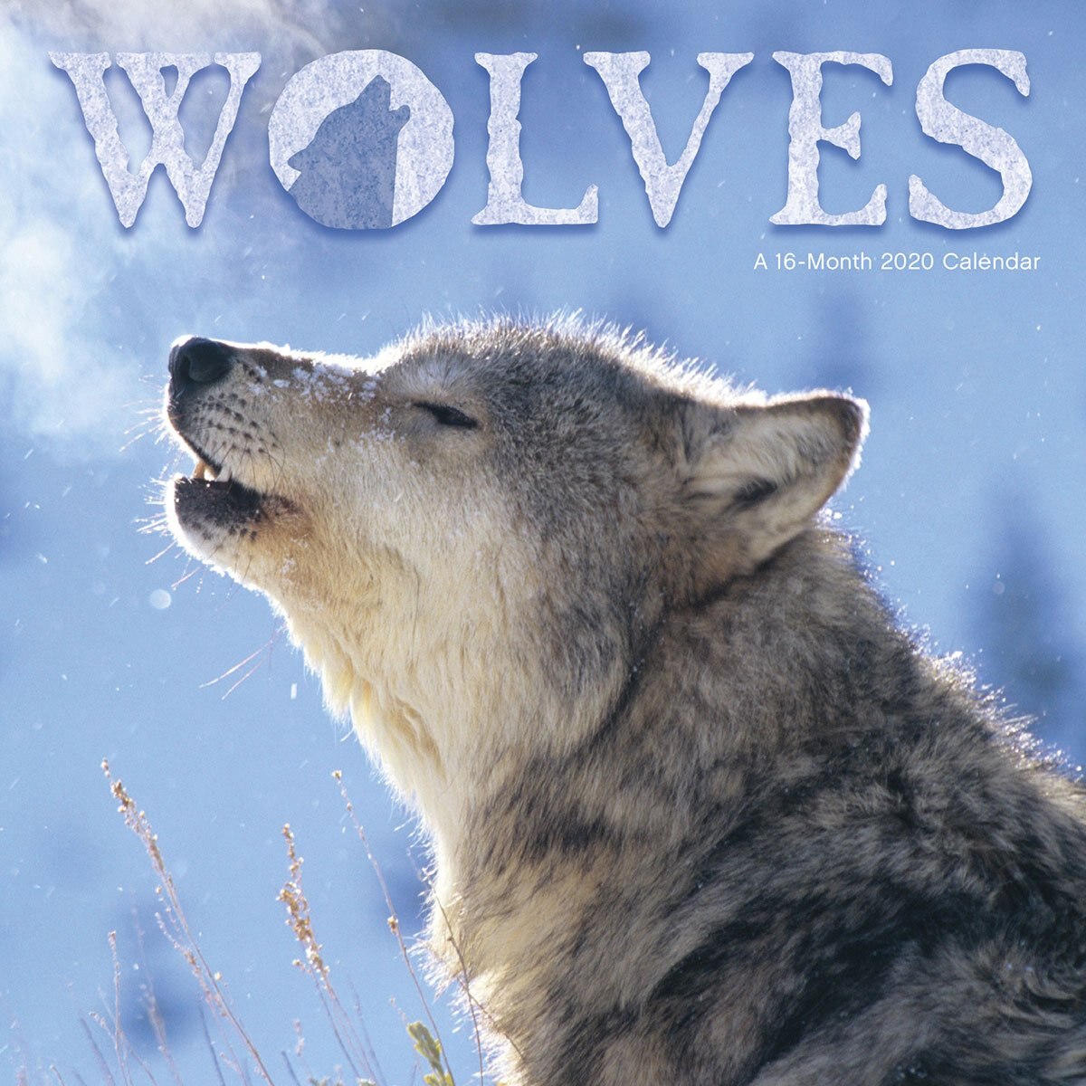 20 Wall Wolves Date Works