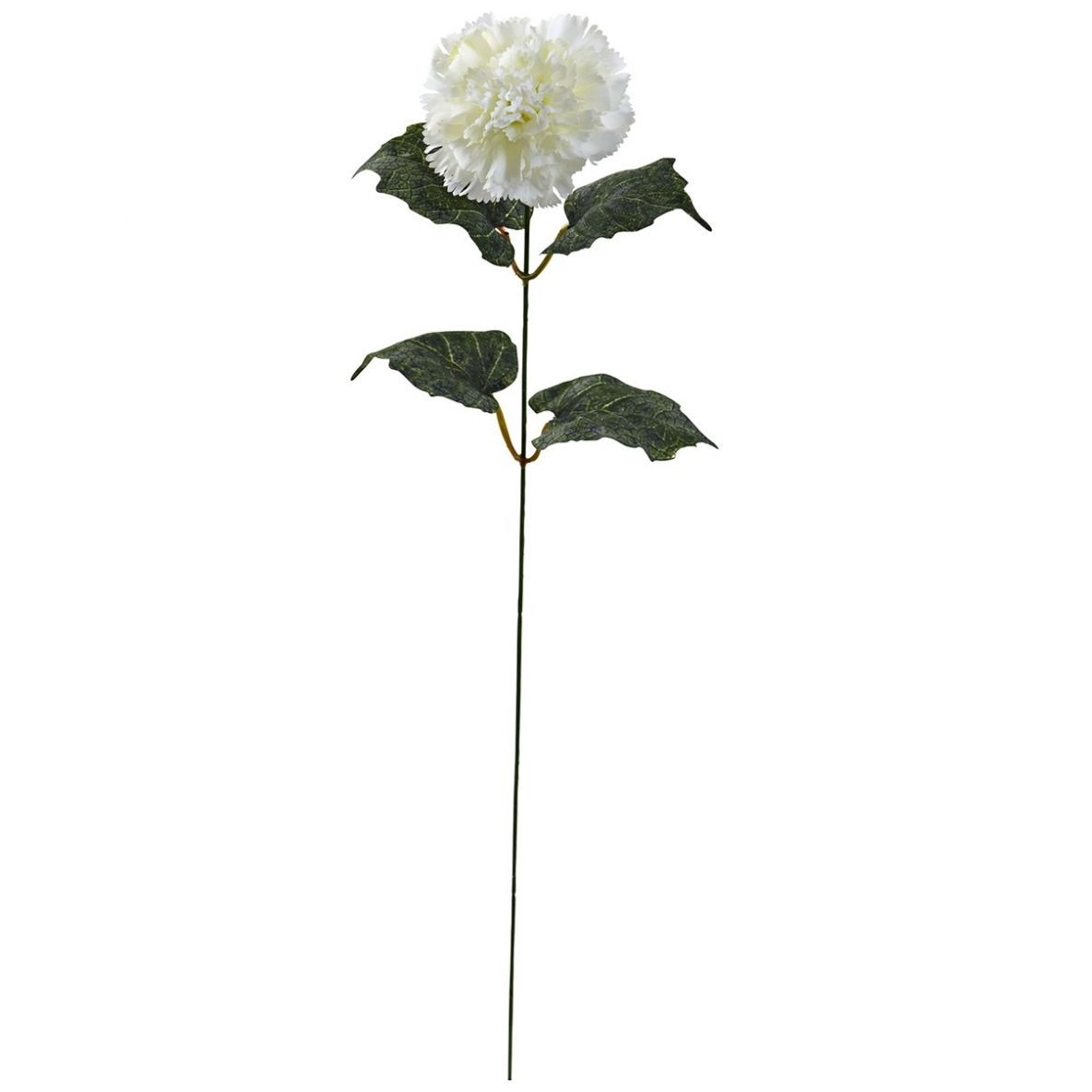 Clavel Crema Nearly Natural