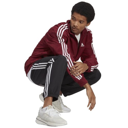 Conjunto Training Adidas para Hombre