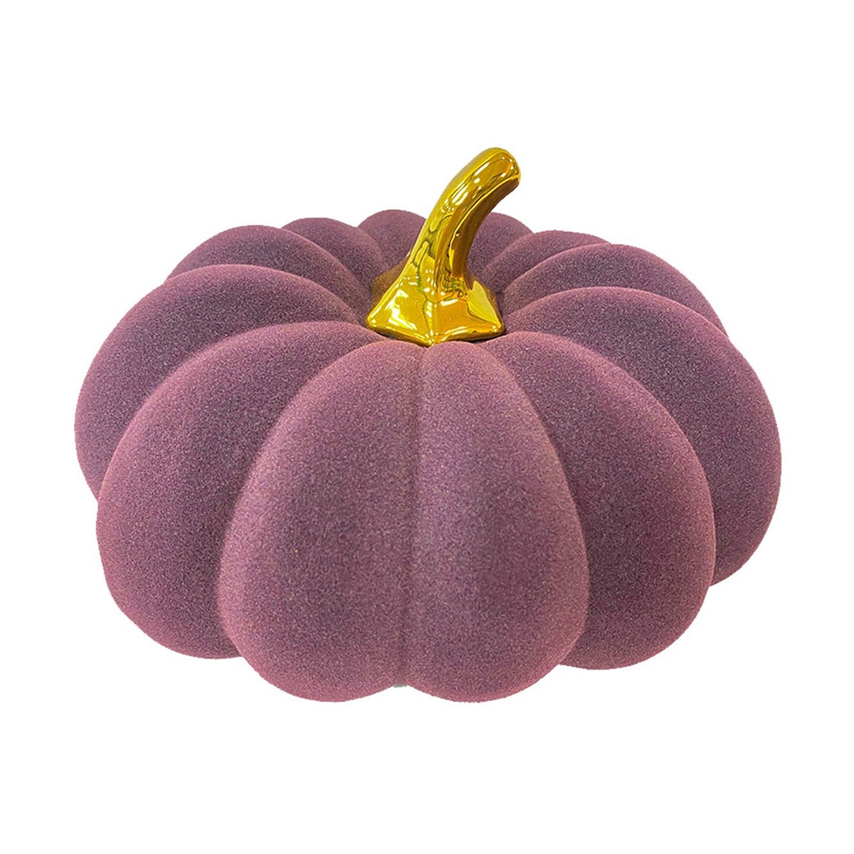Calabaza Morada Gto