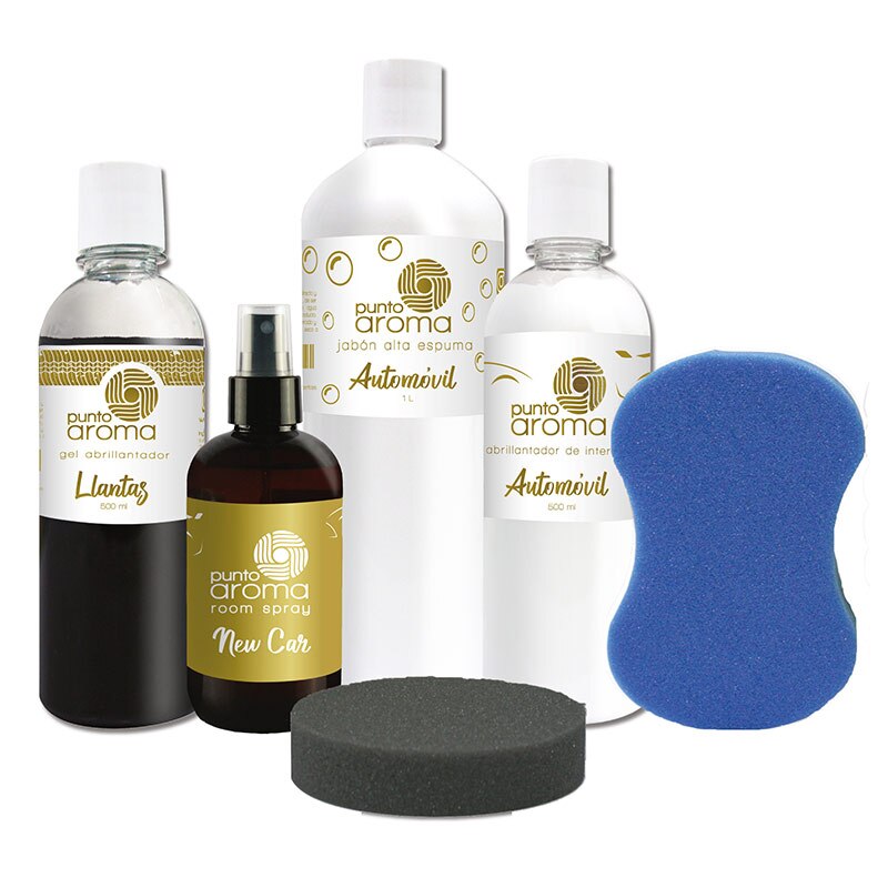 Kit car basics - Ideal para el cuidado completo de tu auto (carrocería ...