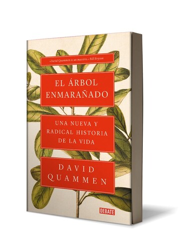 El árbol enmarañado