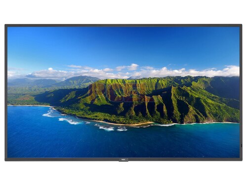 MONITOR PROFESIONAL NEC DE 55 M551 UHD 3840 X 2160