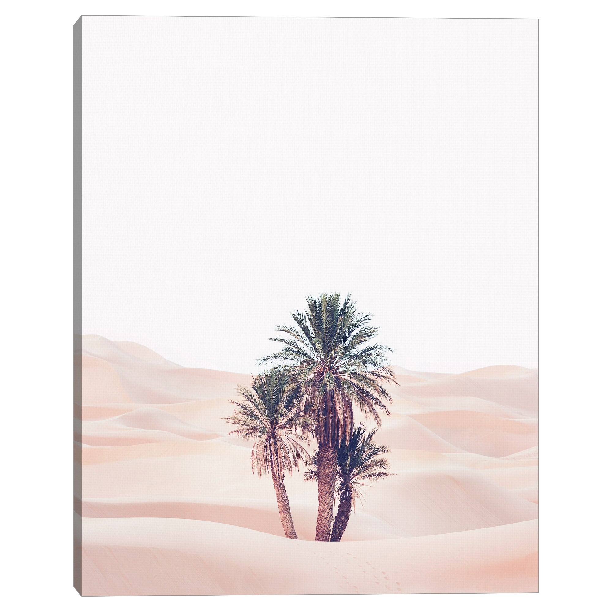 Oasis 2