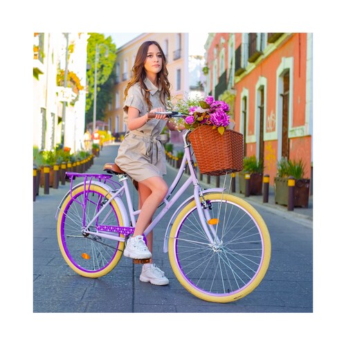 Bicicleta Apache Trixie R26 1 Velocidad Vintage Con Canastilla Asiento De Gel Morado
