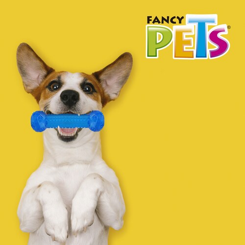 Fancy Pets Juguete Prisma Mancuerna para Perro con Sonido Tamaño Chico