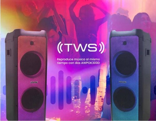 Bocina/ Baffle 3000w FLAME LINE EFECTO CONSOLA DJ MARCA AIWA