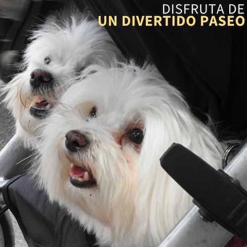 Carriola Plegable Para Perro Gato Mascotas Transportadora