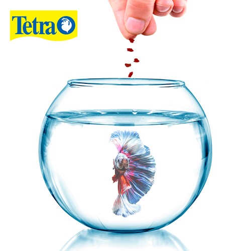 Tetra Bettamin Flakes Alimento para Peces Beta Contiene 23 Gramos
