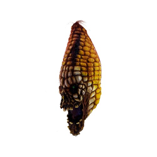 Máscara De Elote Poseído Evil Corn Ghoulish Productions Disfraz para ...