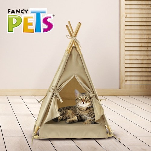 TIPEE COLOR ARENA