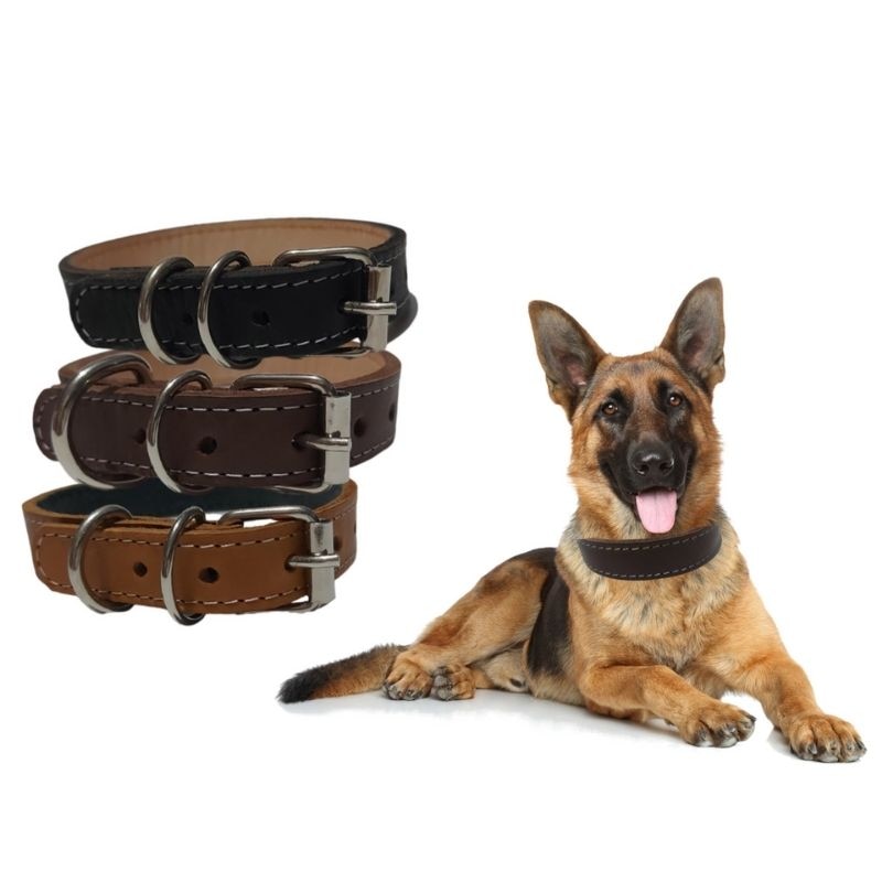 Collar para perro en piel duradero resistente y reforzado raza grande ...