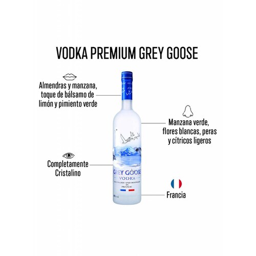 Pack de 4 Vodka Grey Goose Mini 50 ml