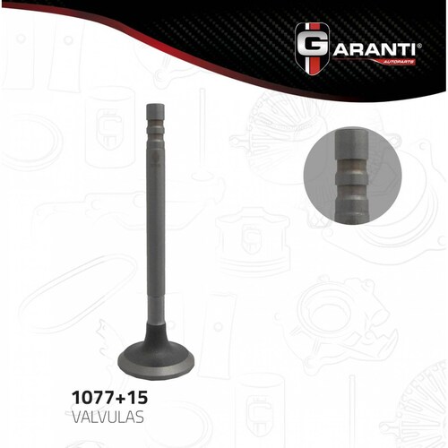 Valvula Escape Para Pontiac Firebird 1970 - 1980 (Garanti)