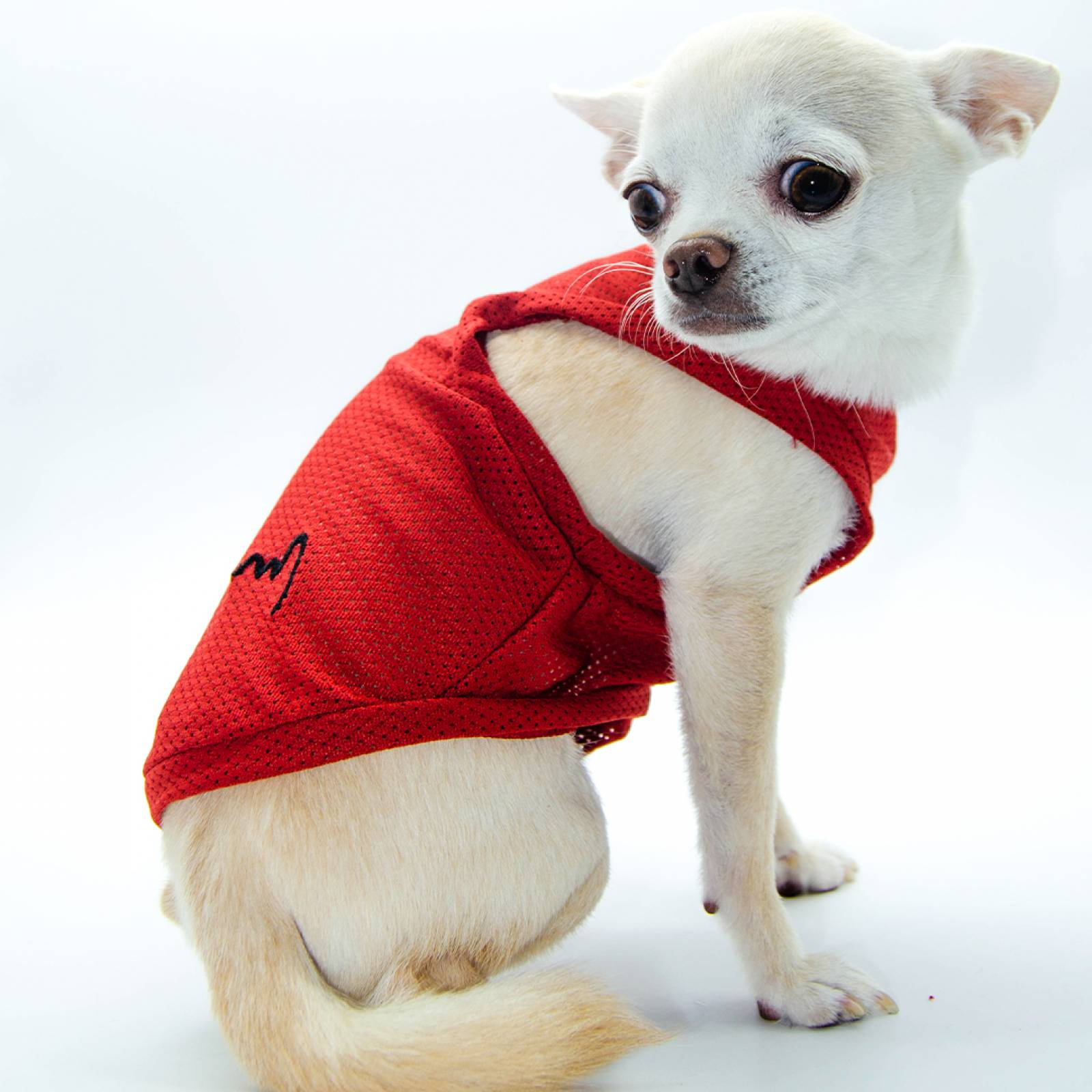 Playera Terracota para Perros de la Marca Mascotti