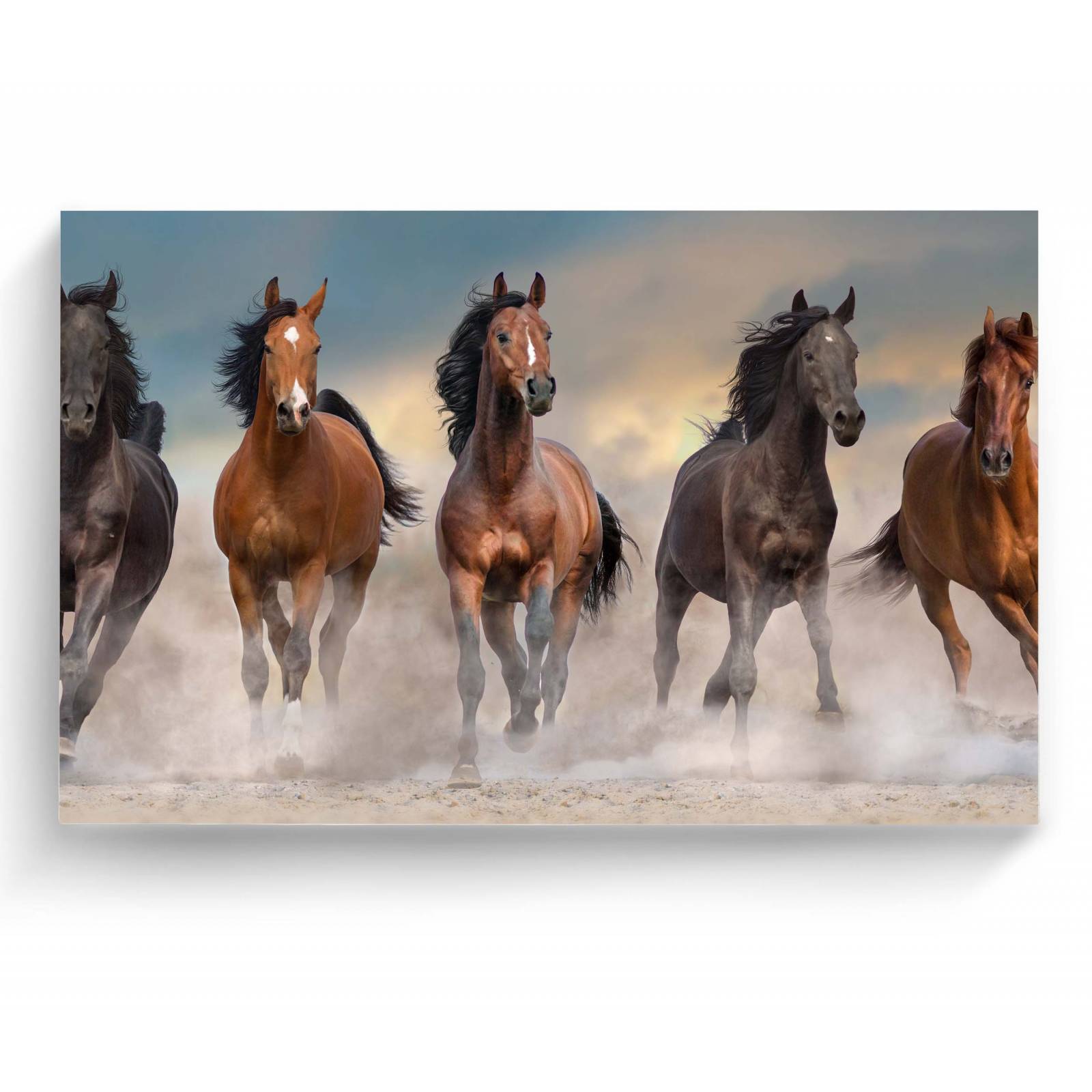 Cuadro Decorativo Canvas Caballos en el desierto 135x90