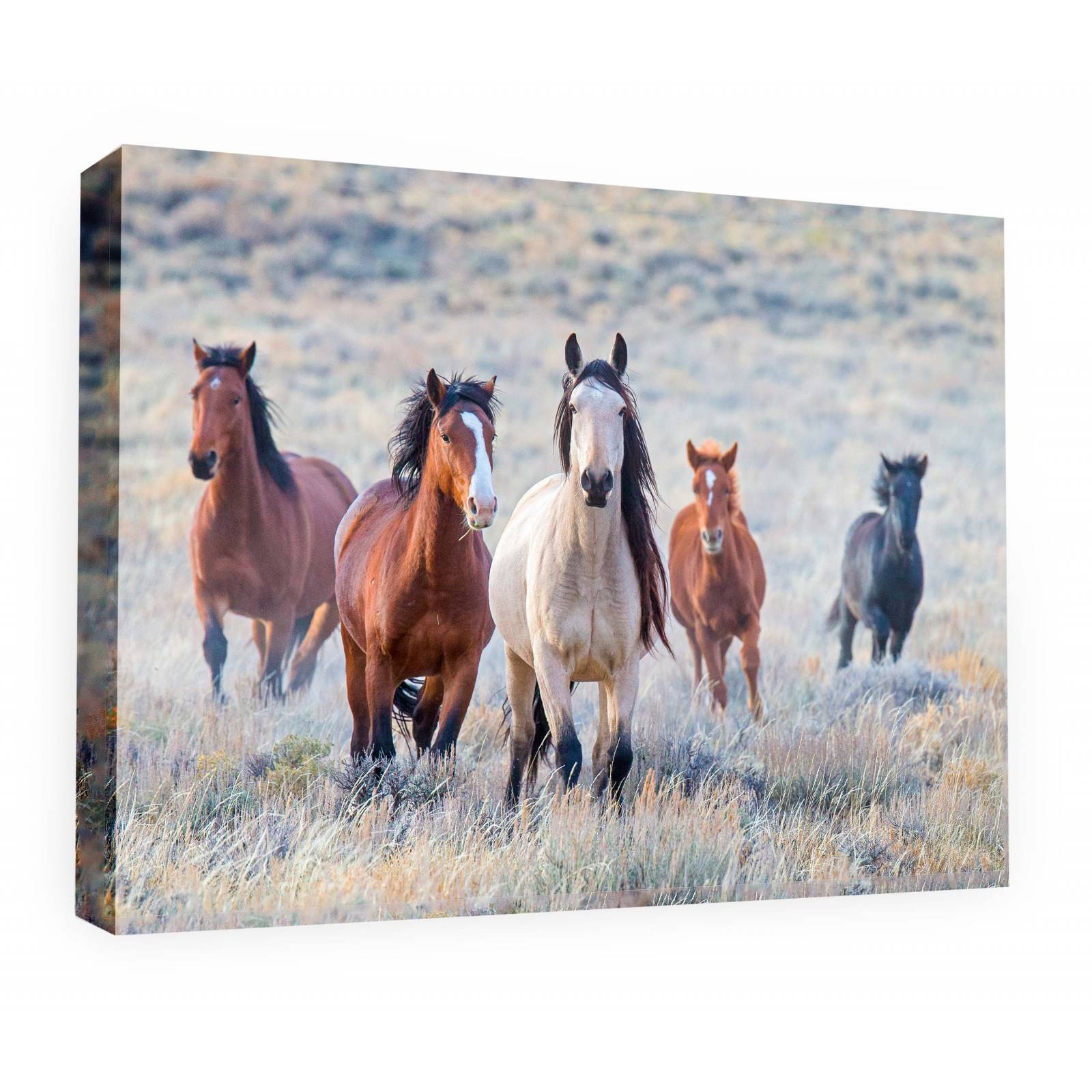 Cuadro Decorativo Canvas Manda caballos salvajes 135x90