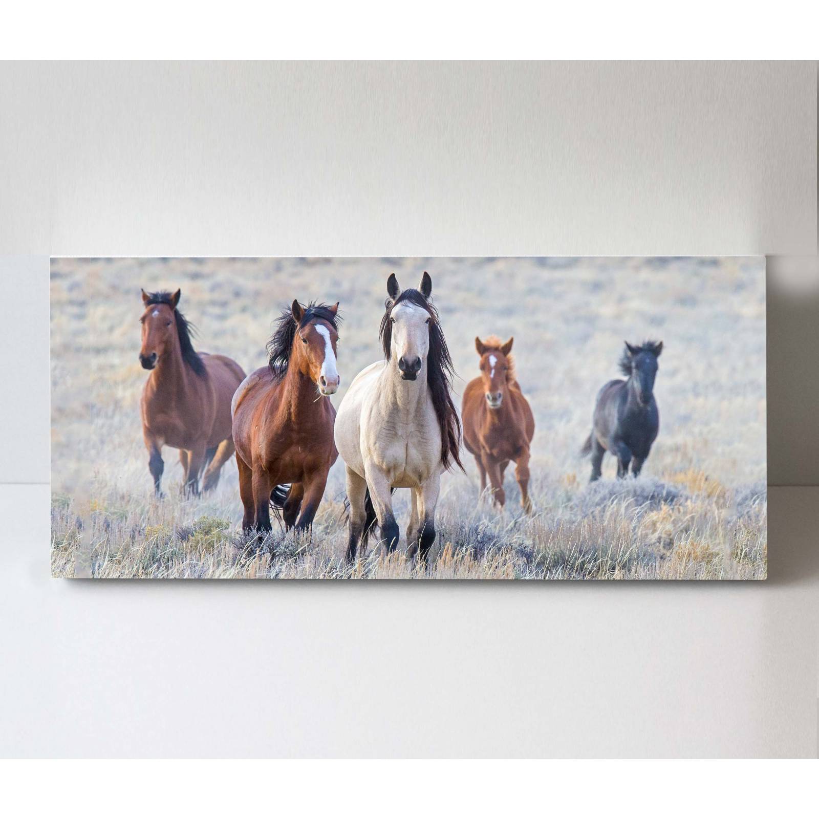 Cuadro Decorativo Canvas Manda caballos salvajes 160x80