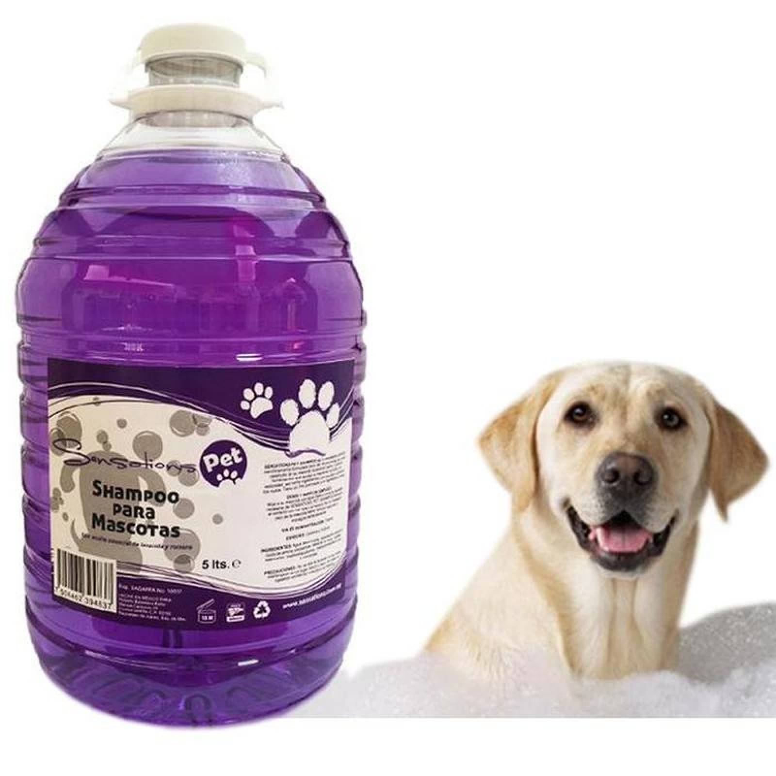 Shampoo Para Perro Cuidado Especial MXFUF-002-1 5L Lavanda Perros y ...