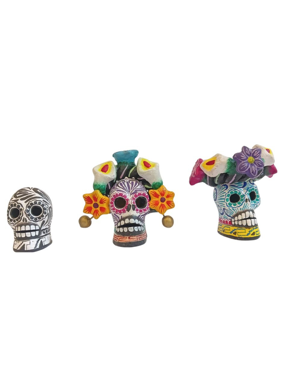 Kit de 3 cráneos mini con diferentes temáticas