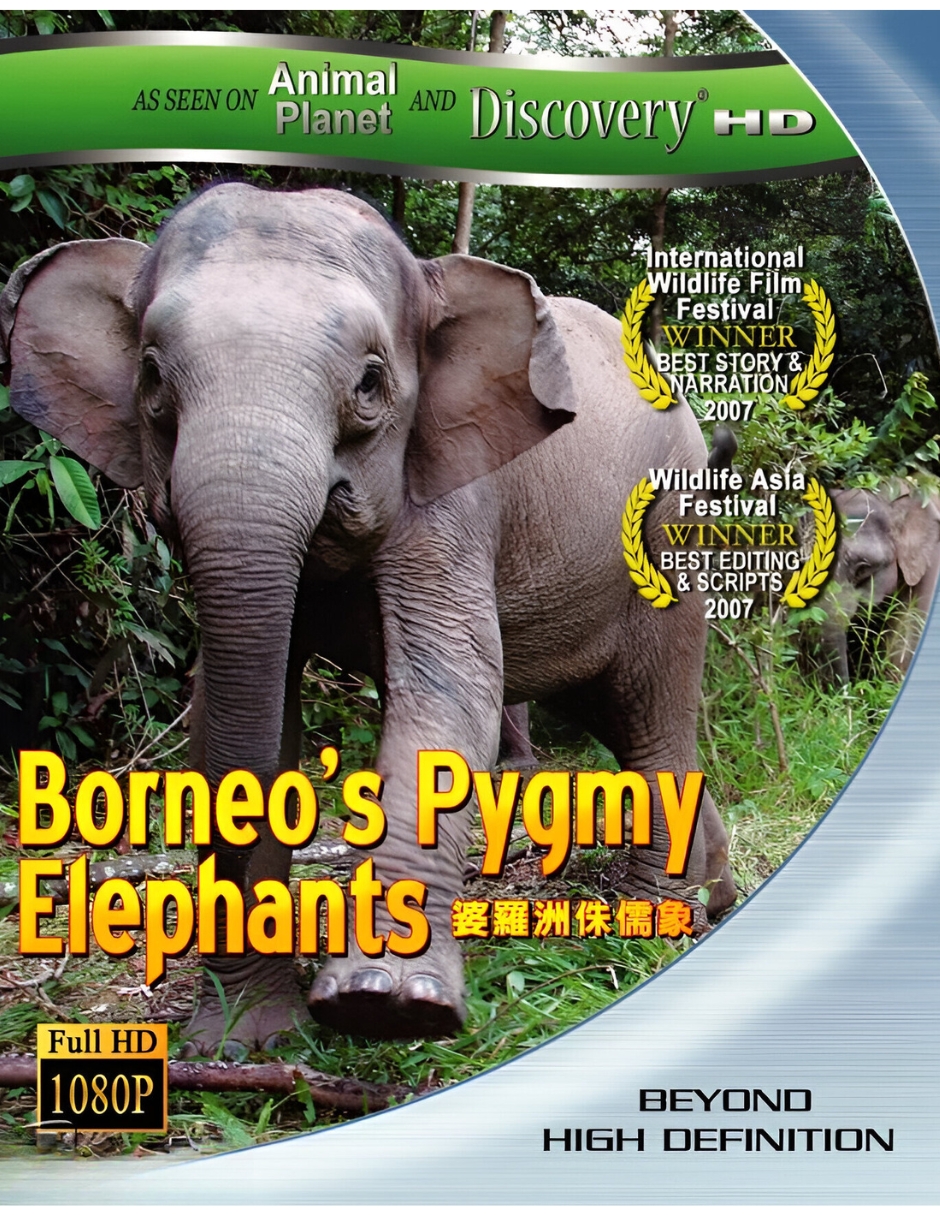 BORNEO´S PYGMY ELEPHANTS (BLU RAY).