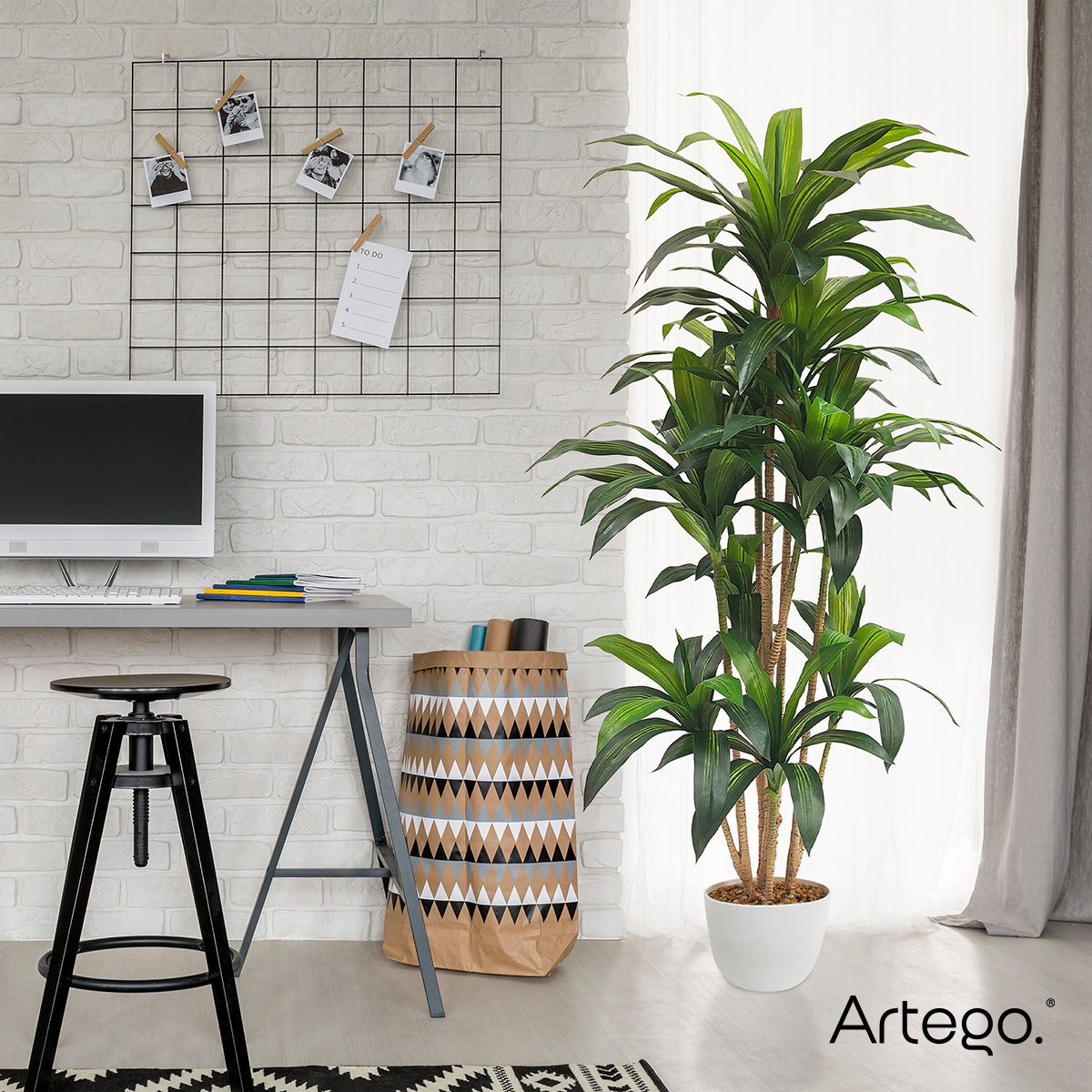 Planta artificial decorativa moderna con maceta Dracaena Palo de Brasil ...