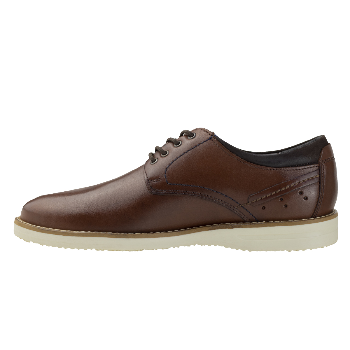 Zapato Derby De Hombre Confort Gino Cherruti Piel 6049 Café.