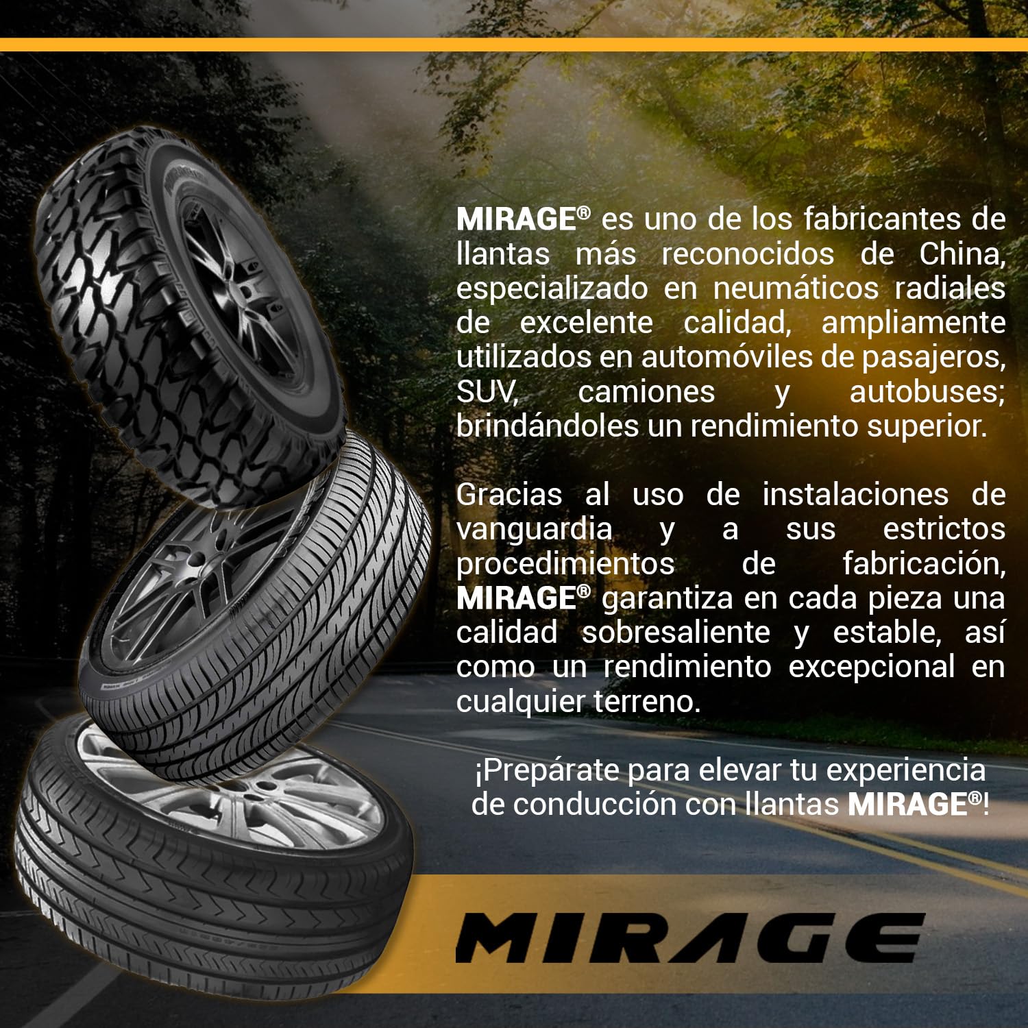 PAQUETE 2 LLANTAS 205 55 R16 91V MIRAGE MR-166.