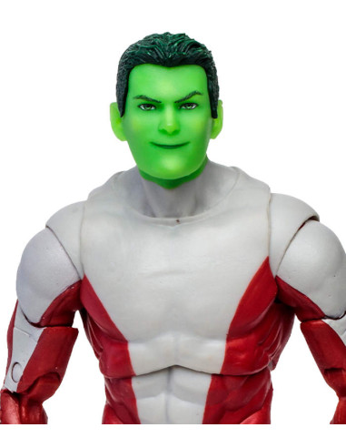 DC Multiverse Teen Titans Beast Boy.