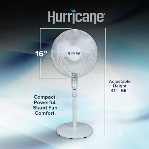 B-Air 1/4 HP Polar Axial Blower Fan High Velocity Air Mover for Water ...