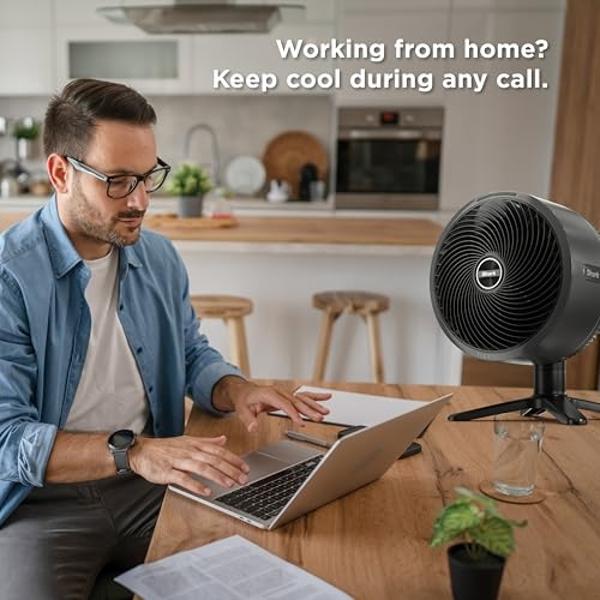 Vornado VFAN Mini Classic Personal Vintage Air Circulator Fan, Vintage ...