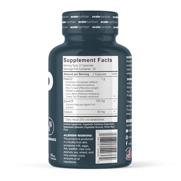 Build - Muscle Builder Supplement for Muscle Growth, Strength, Weight ...